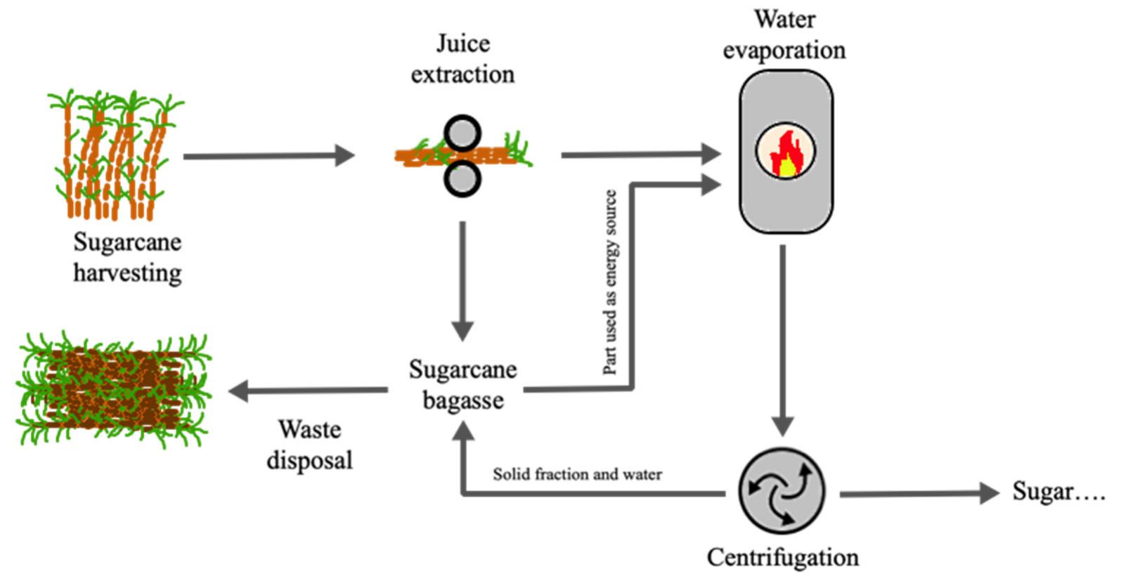 Simplified sugar production process (adapted from [59]).