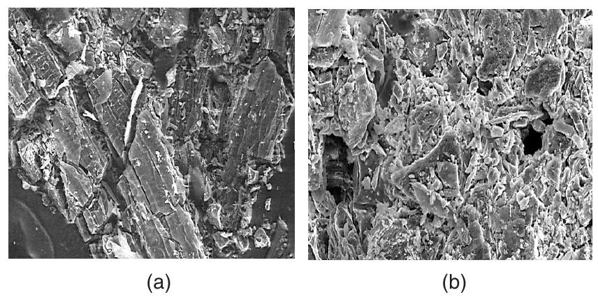 Sem images of rice husk biochar (a) before (b) after