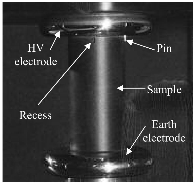 Photograph of dielectric sample between electrodes. the pin