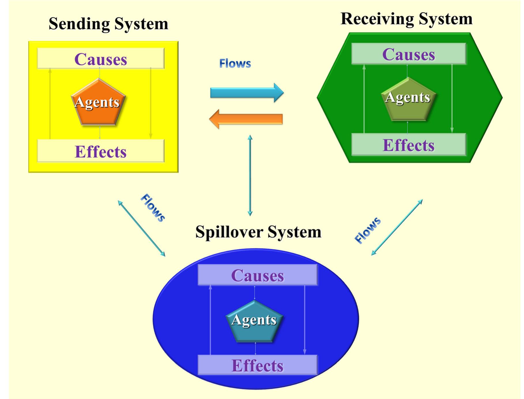 Five major and interrelated components of the telecoupling