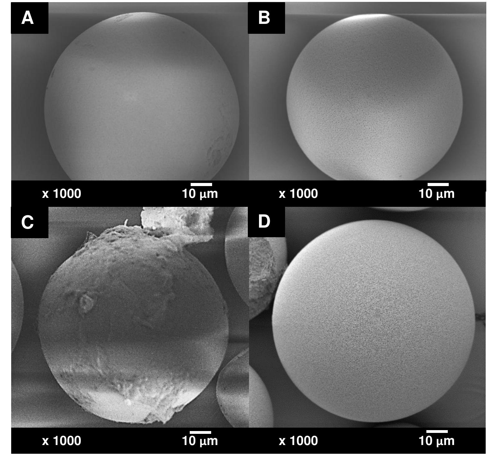 Sem images of resin cycled 50 times with different feed