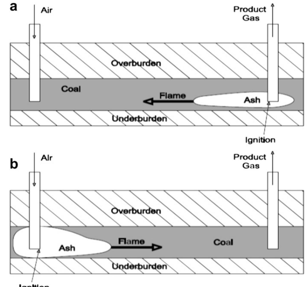 Schematic views of the reverse and forward combustion