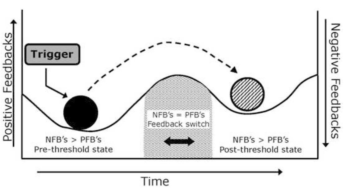 2. the feedback switch model depicts thresholds as the point