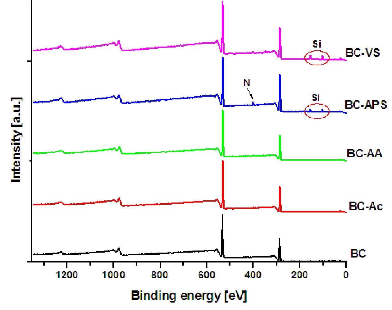Xps survey spectra of treated bc. xps survey spectra of