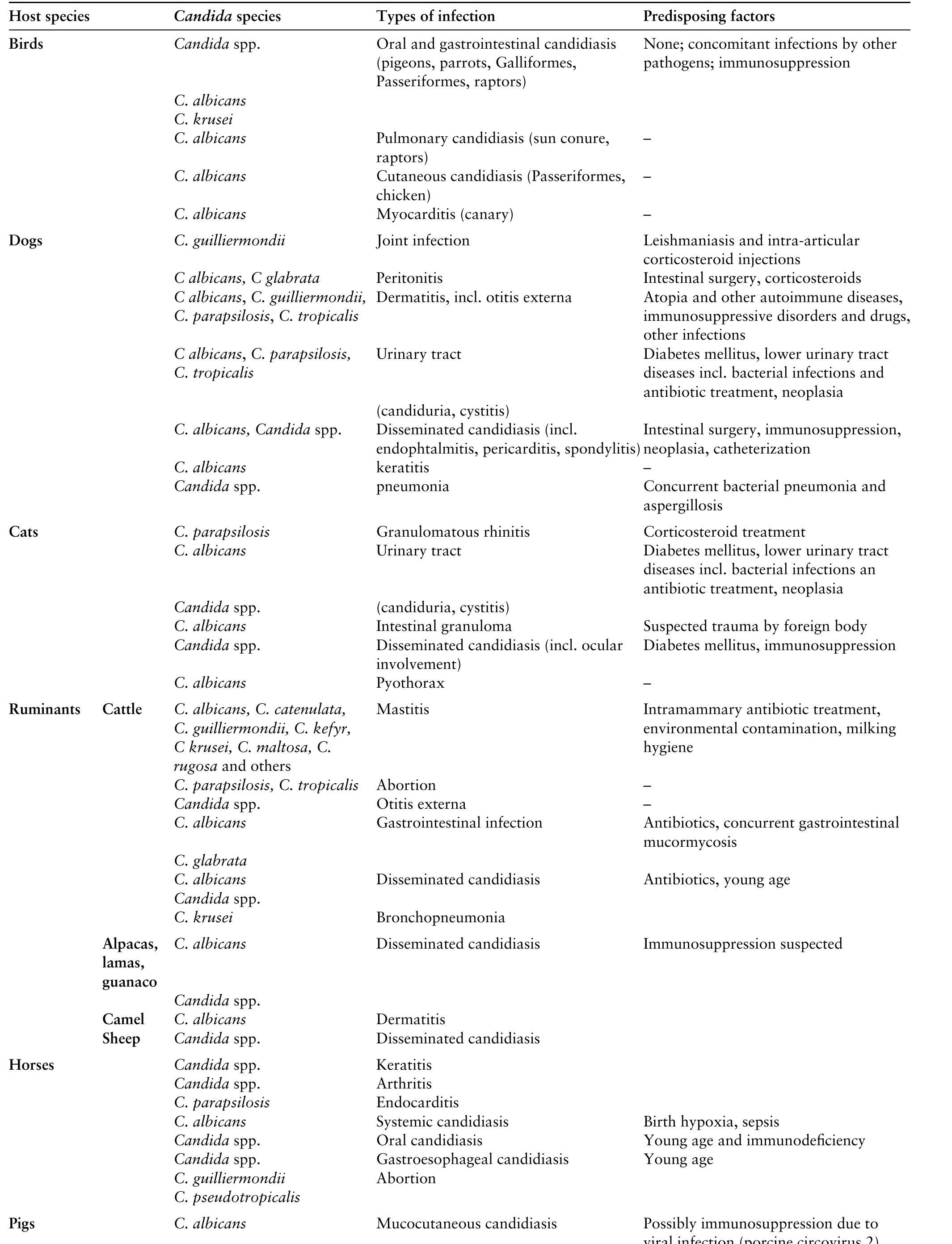 Selected case reports of candidiasis in animals. candida