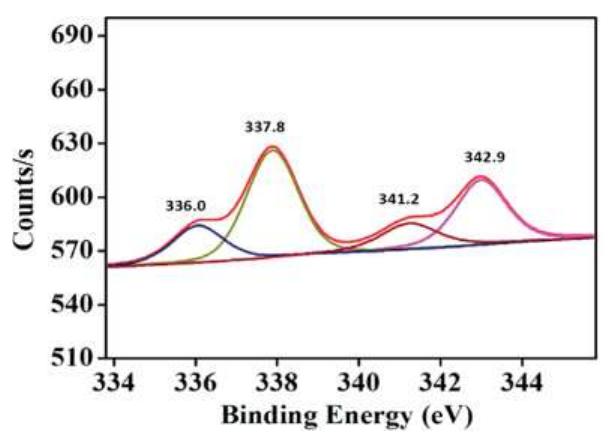 The catalytic pathway of the mizoroki-heck reactions was