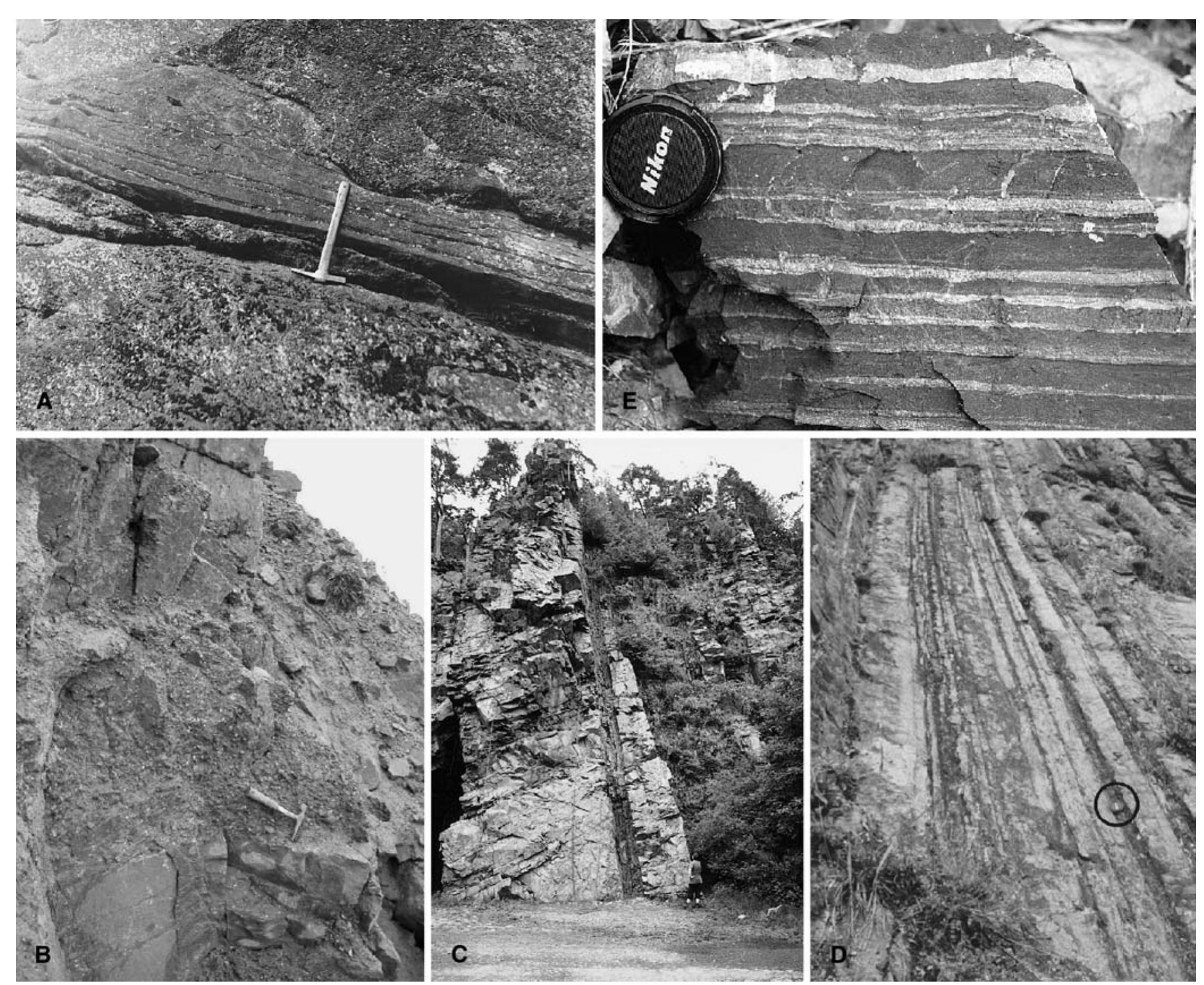 Outcrop examples of turbidite facies from the mf. a erosive