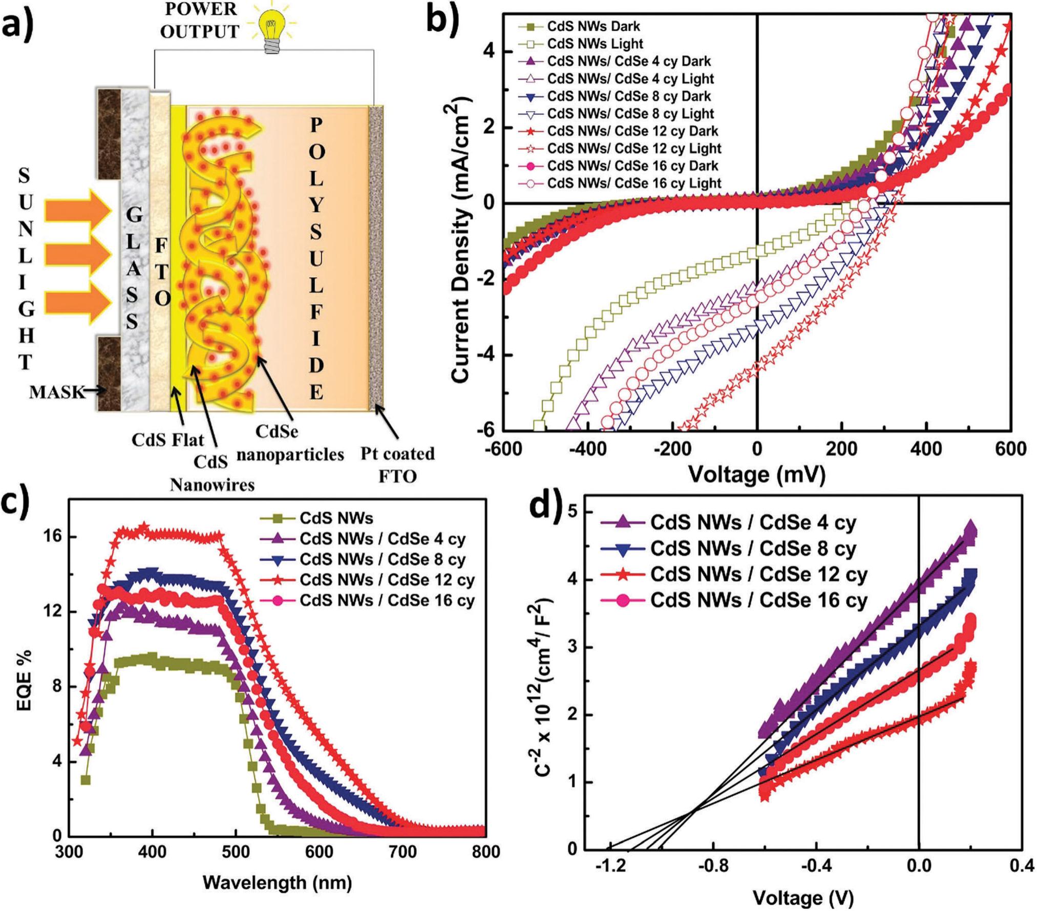(a) schematic illustration of the pec solar cell cds
