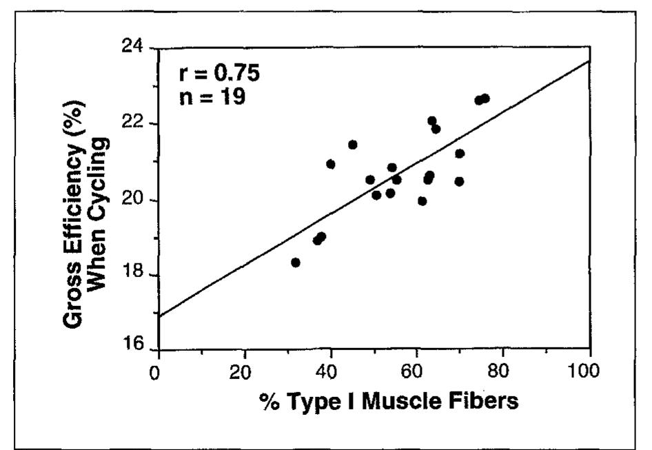 Figure 3 - from Physiological determinants of endurance