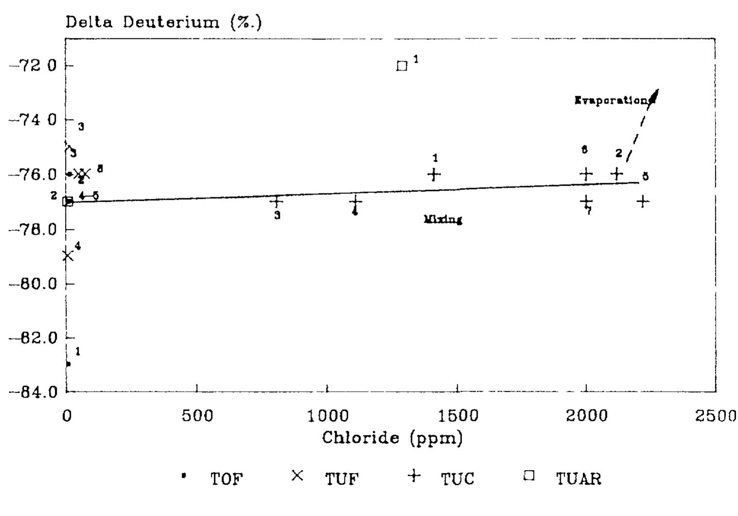 Figure 8 - Flow patterns at the Tuzgle-Tocomar Geothermal