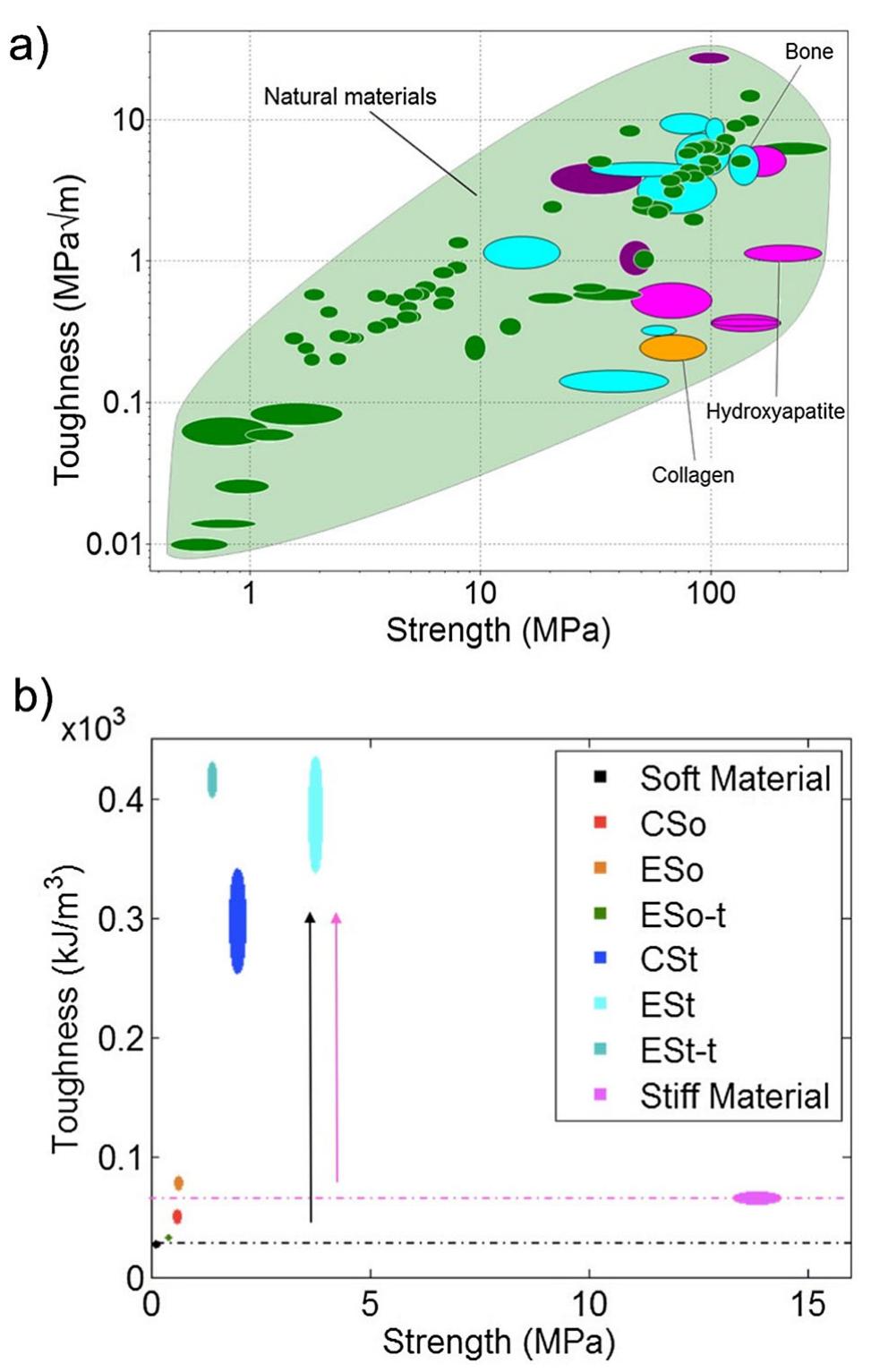 (a) ashby plot showing the mechanical properties of natural