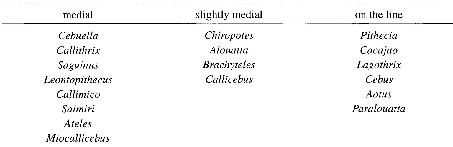 Able 1. position of the pterygoid process relative to the