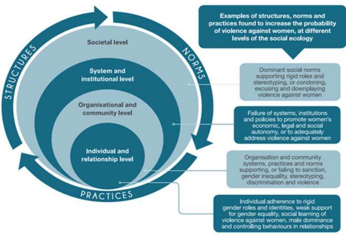 Socio-ecological model of violence against women.