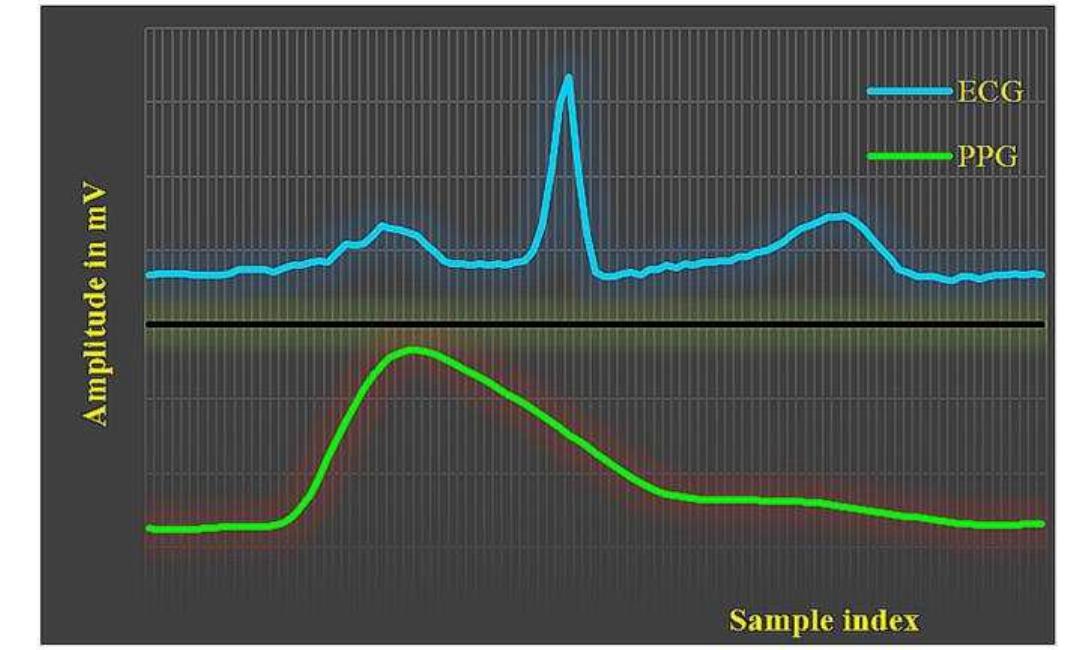 Structure of single channel ecg and ppg signal.