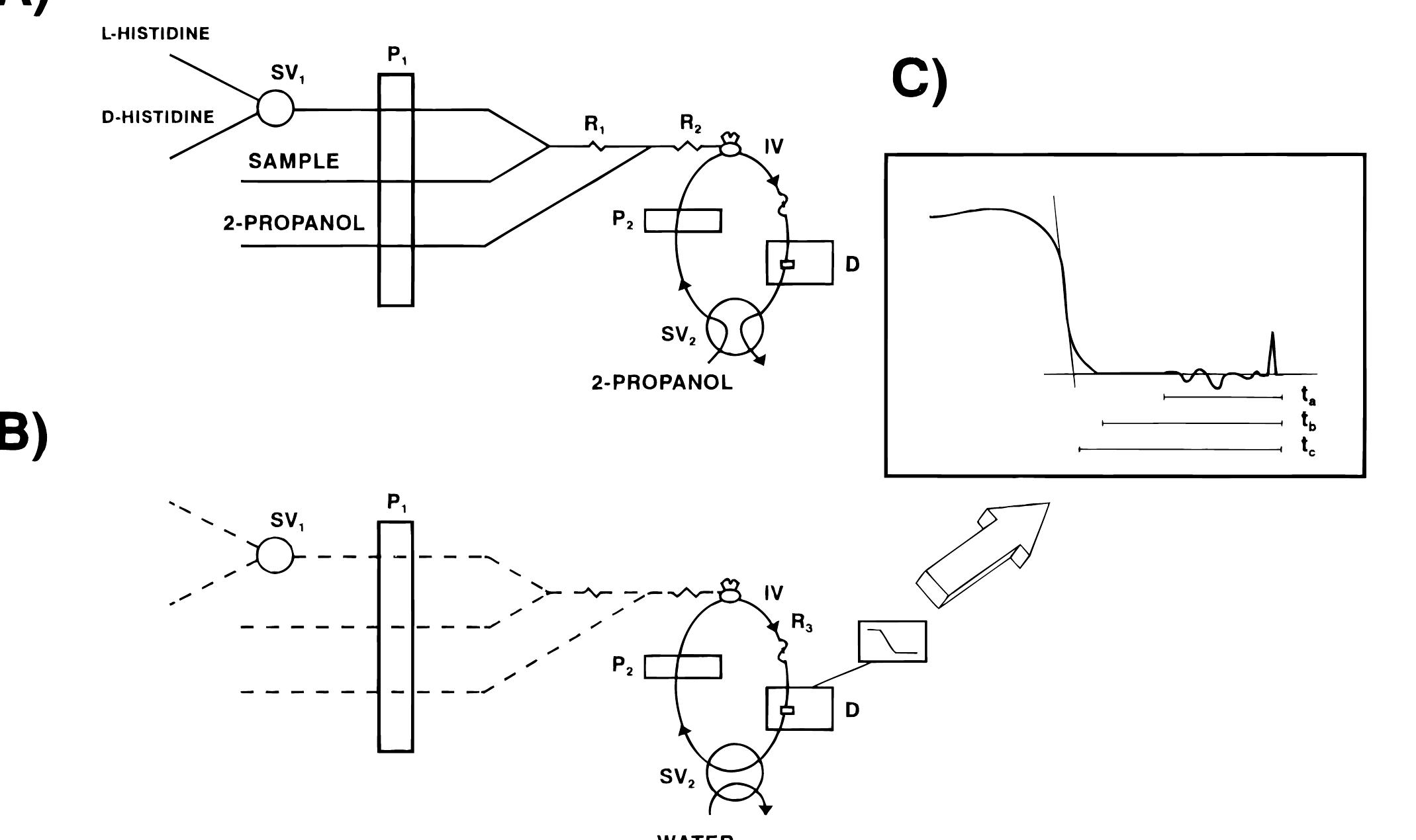 Flow injection manifold for the sequential determination of