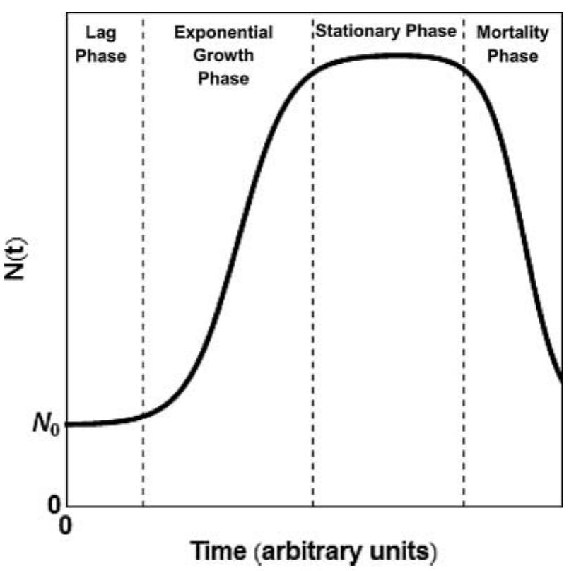 Schematic view of a typical microbial growth curve in a
