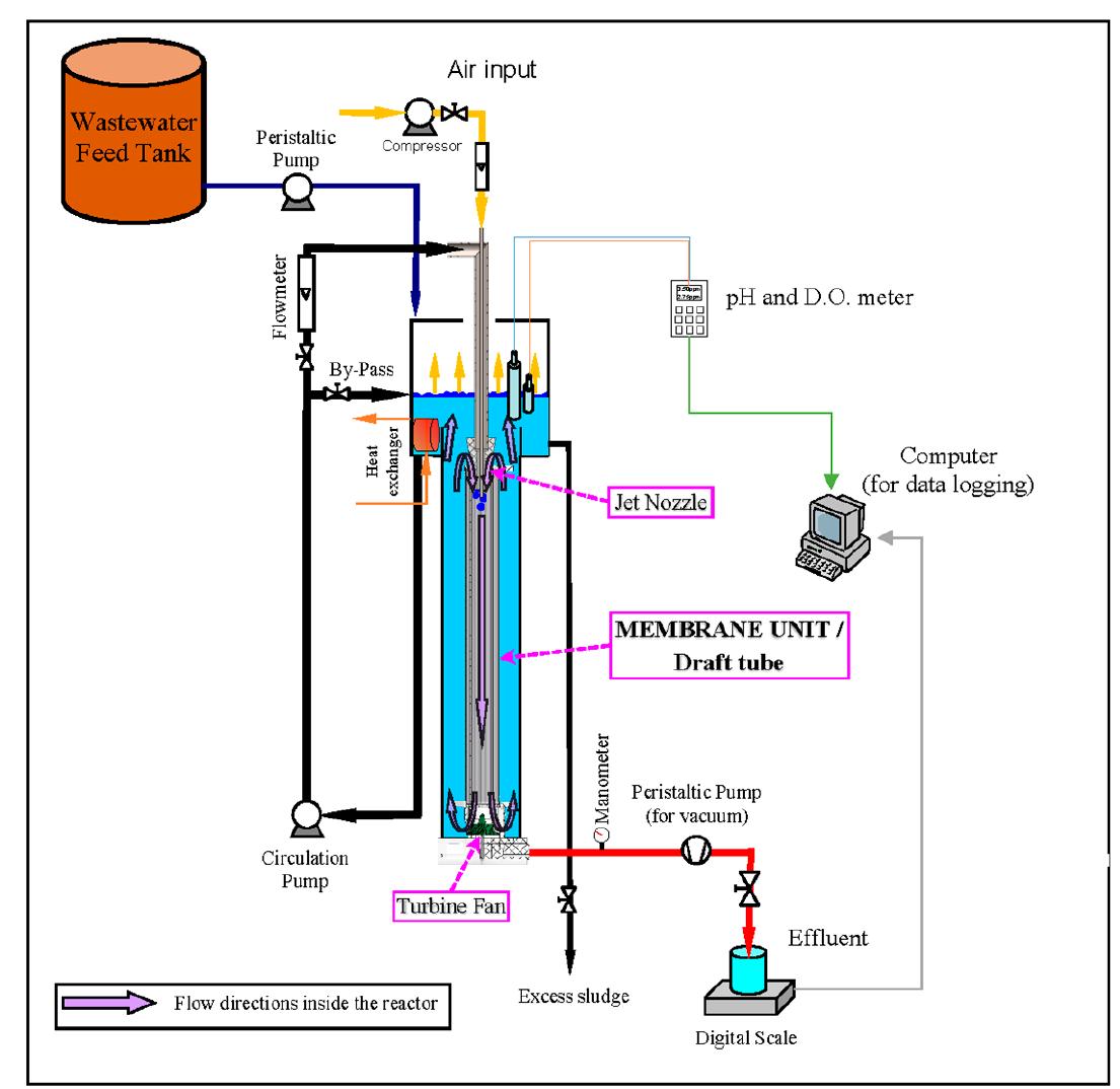 Schematic layout of the membrane draft tube jet loop reactor
