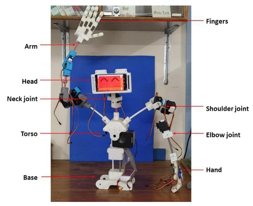 Overall structure of the humanoid robot