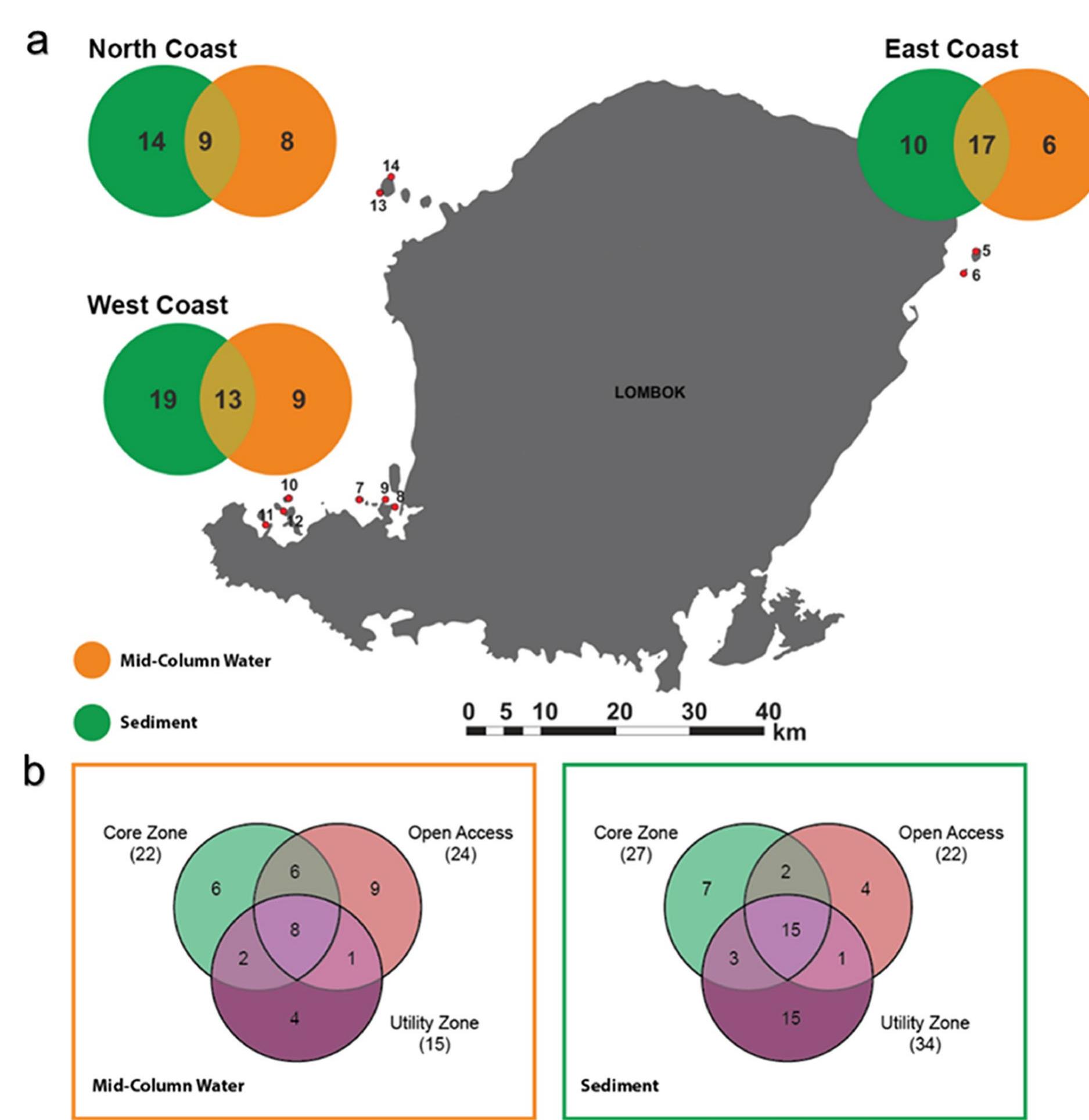 Venn diagrams of fish species identified from lombok