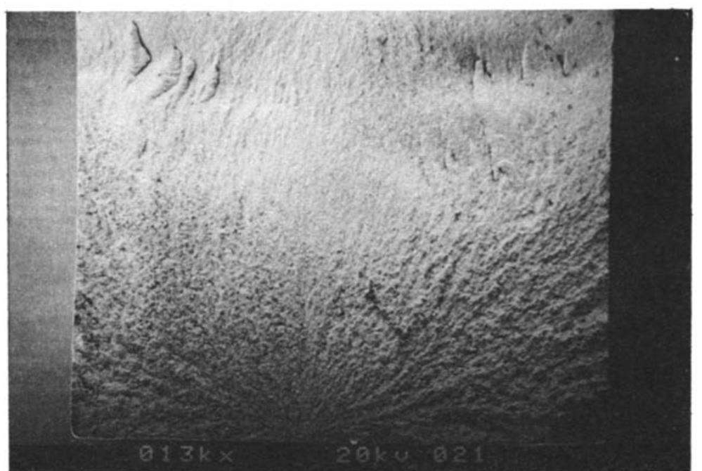 Ig. 12. transverse-rupture fracture surface showing crack