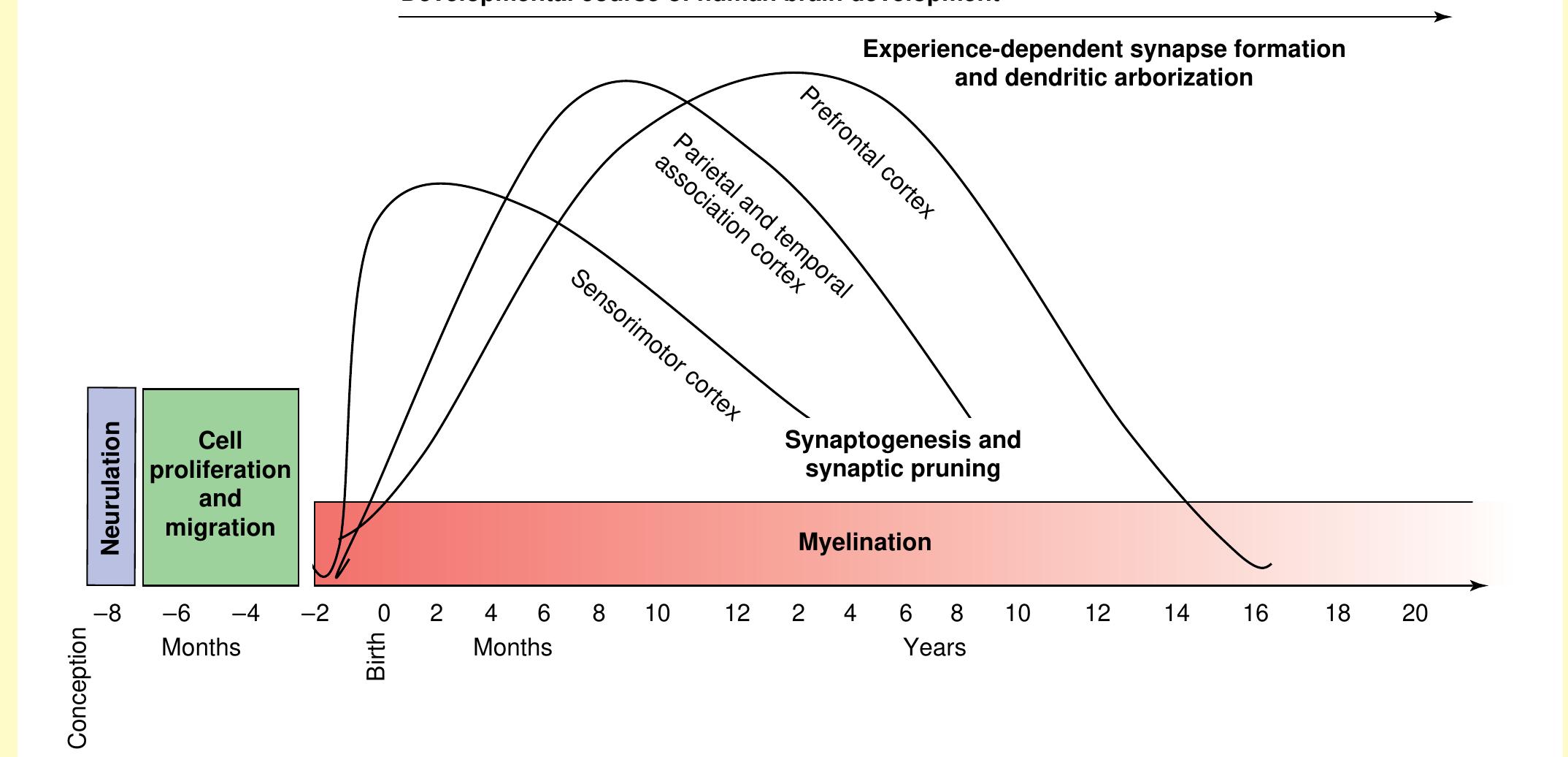 I. see text for details. adapted with permission from ref.