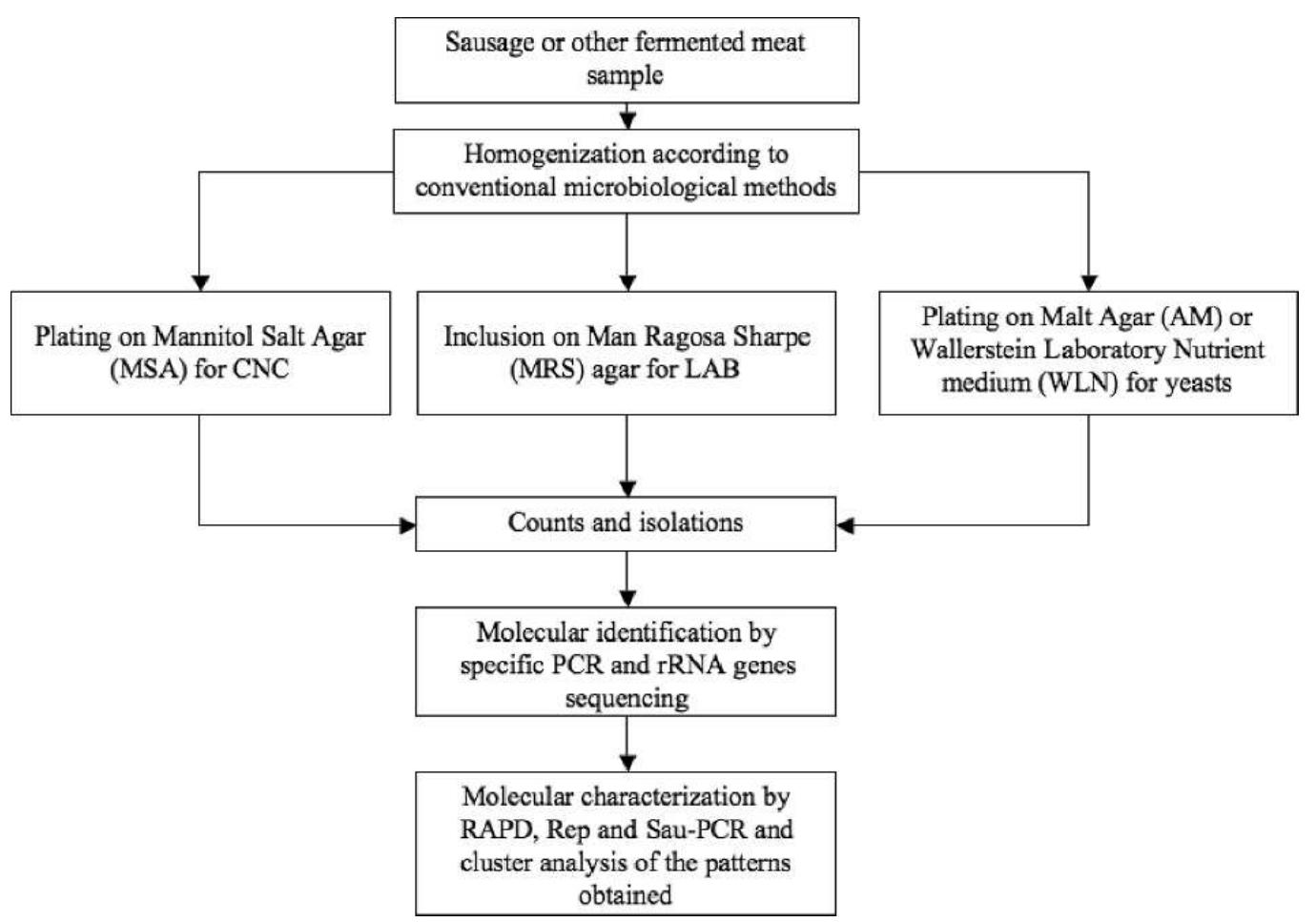 2. flowchart describing the application of culture-dependent