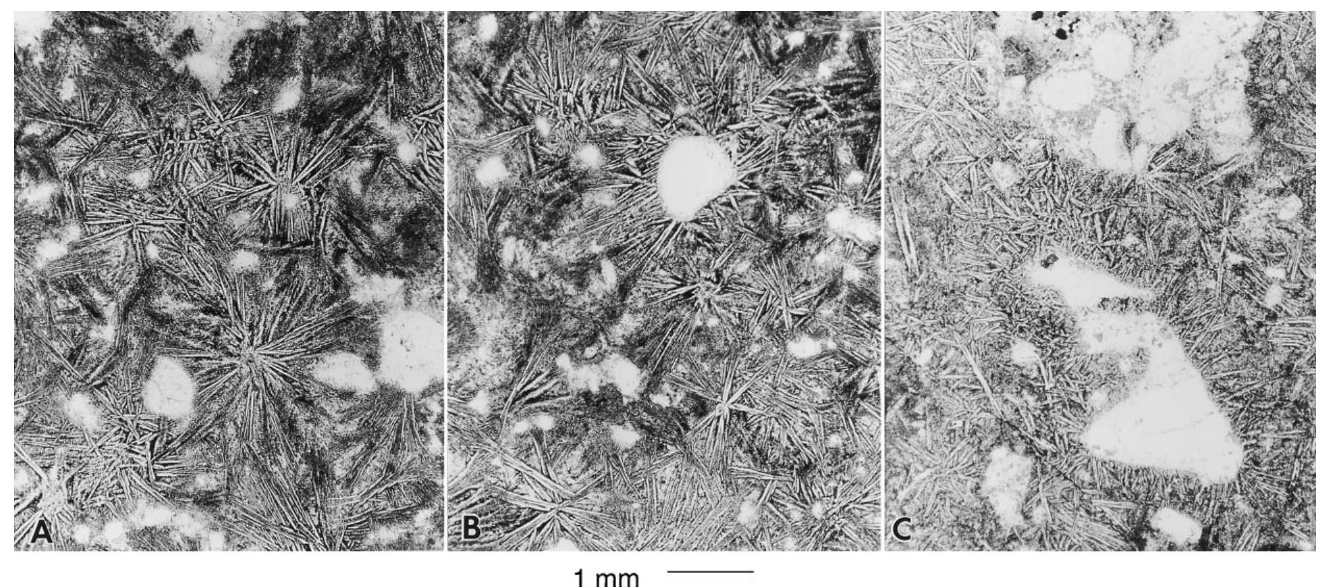 Microstructures of microlites, plane polarized light. (a)
