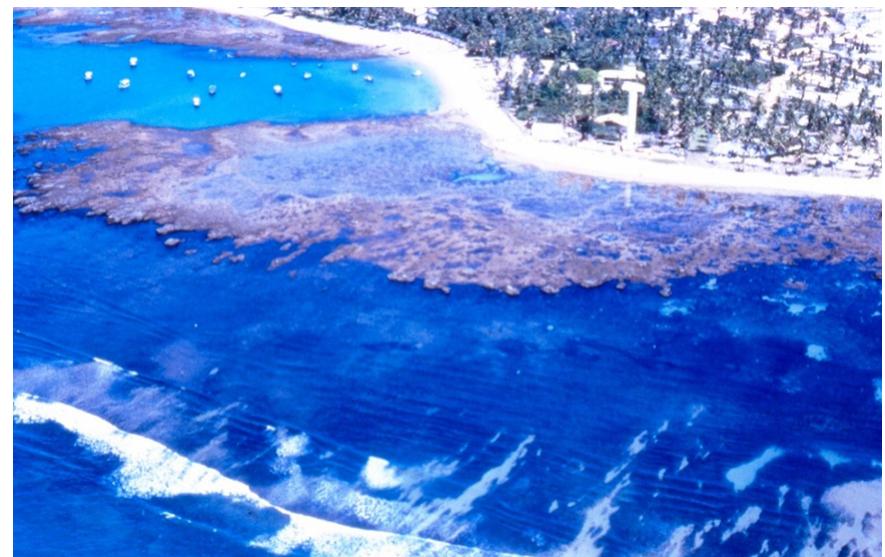 Aerial photograph of the praia do forte reef along the coast