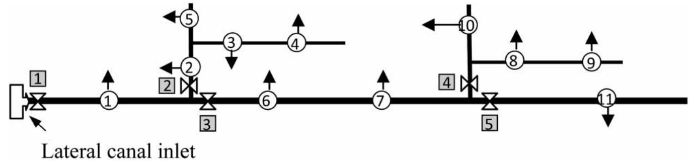 | schematic representation of the studied irrigation