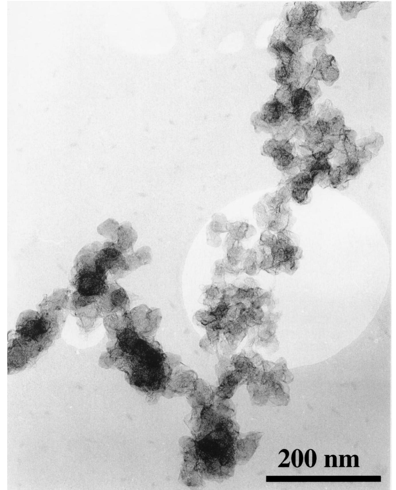 Aggregate morphology with a general linear feature (tem