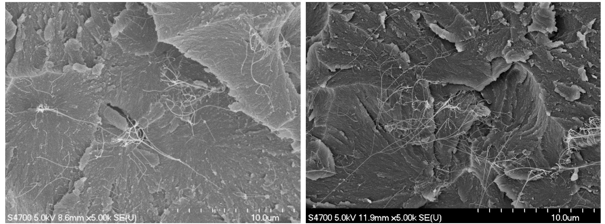 Fe-sem image x5000 magnification of flexural fracture