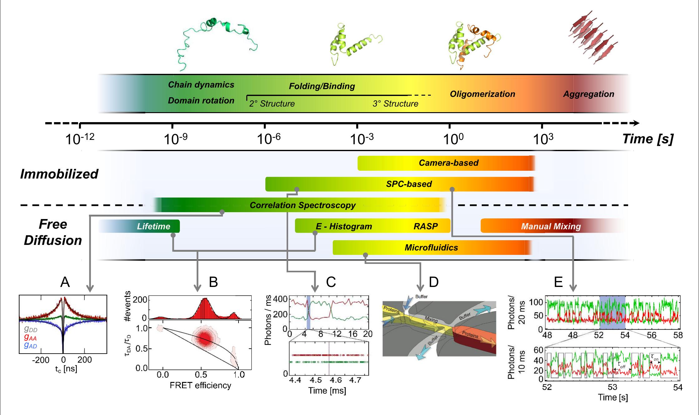 Figure 3 - from FRET-based dynamic structural biology: