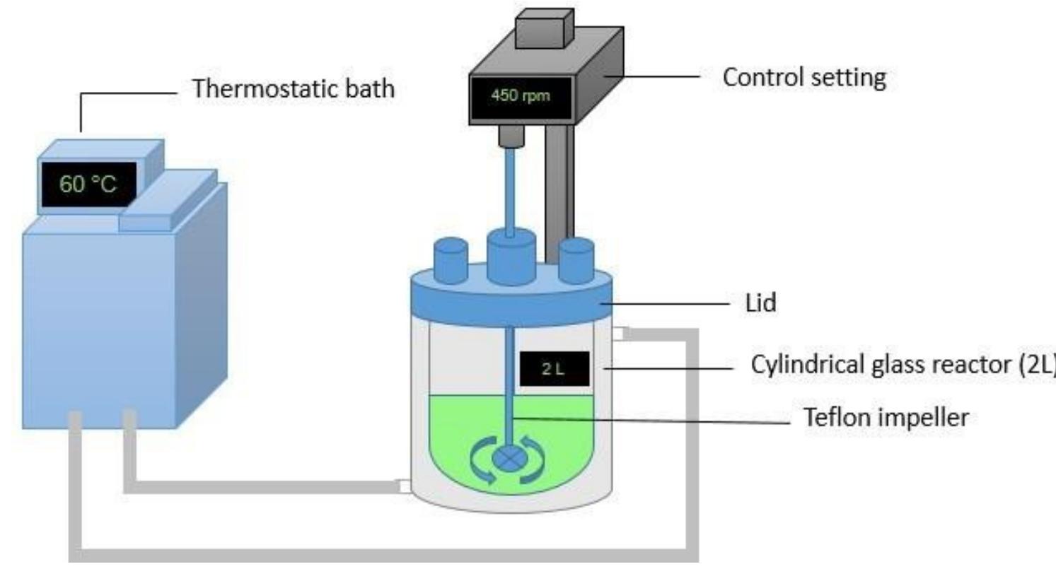 A schematic diagram of the agitated leaching reactor used in