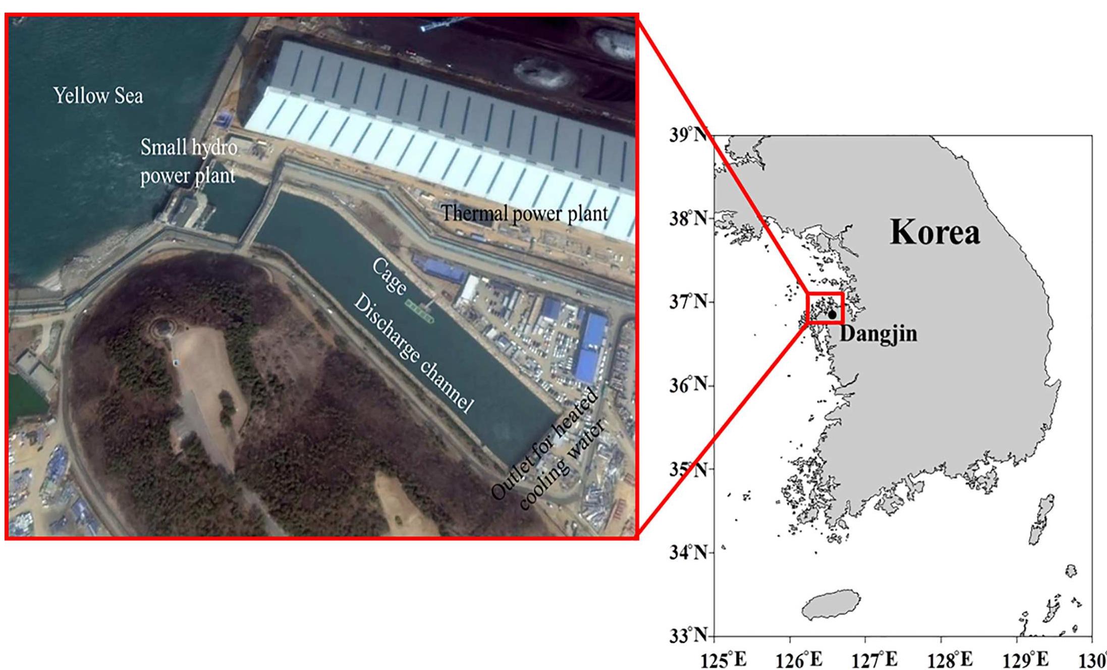 Figure 1 - from Design approach of an aquaculture cage