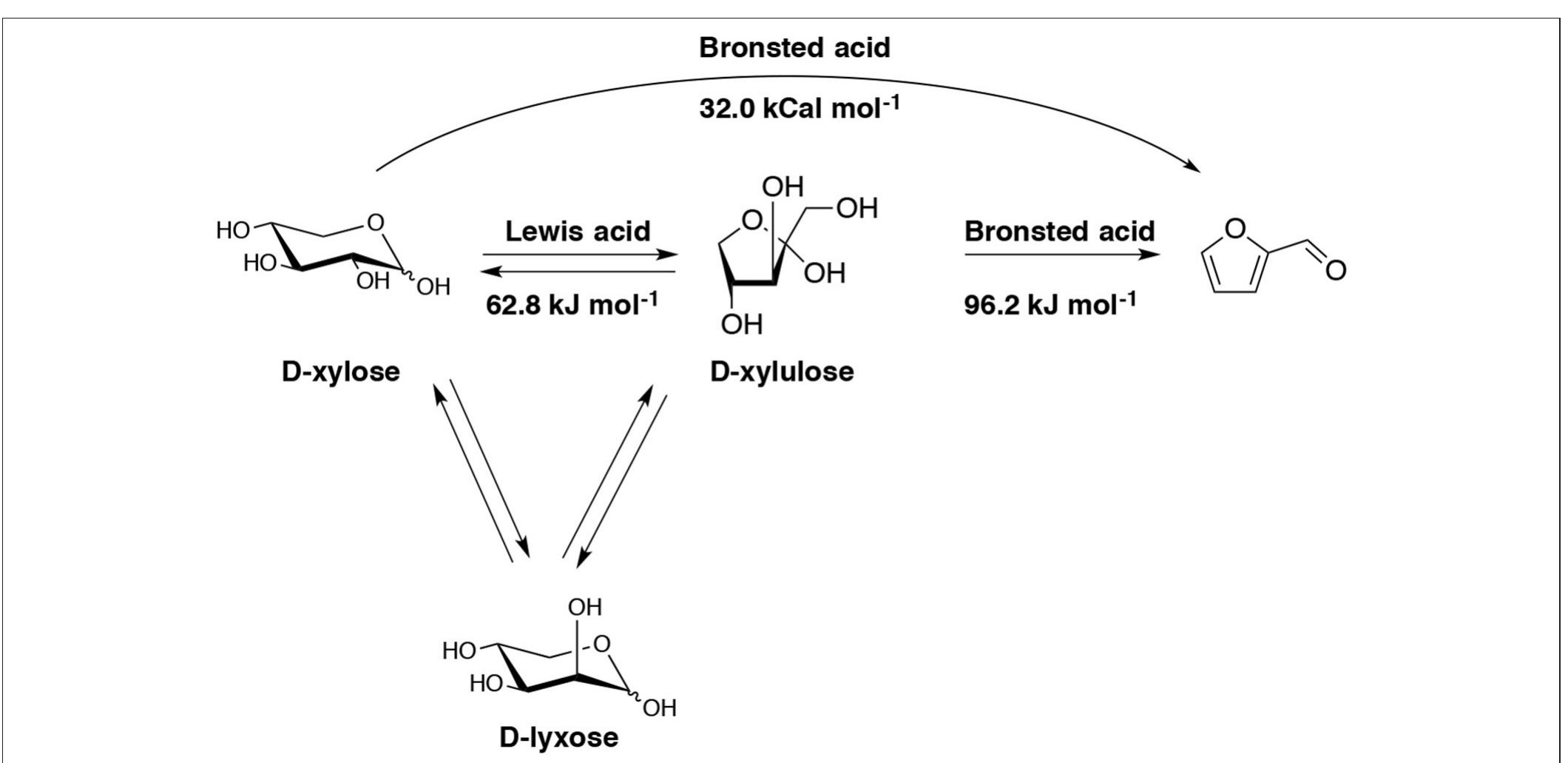| schematic representation of the overall pathways to
