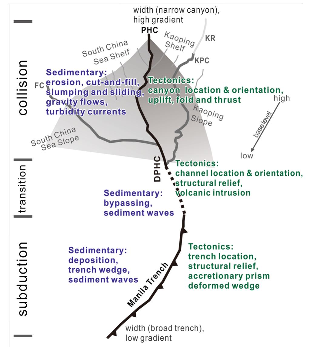 Schematic diagram of the sediment dispersal system along the
