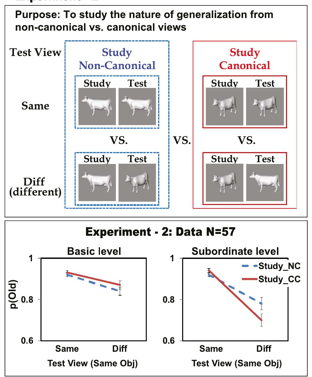 Experiment 2: stimulus examples and the hit rates for the