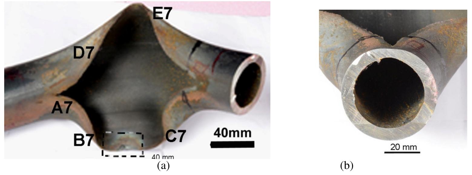 Fish mouth opening in tube t2 (a) longitudinal (b)