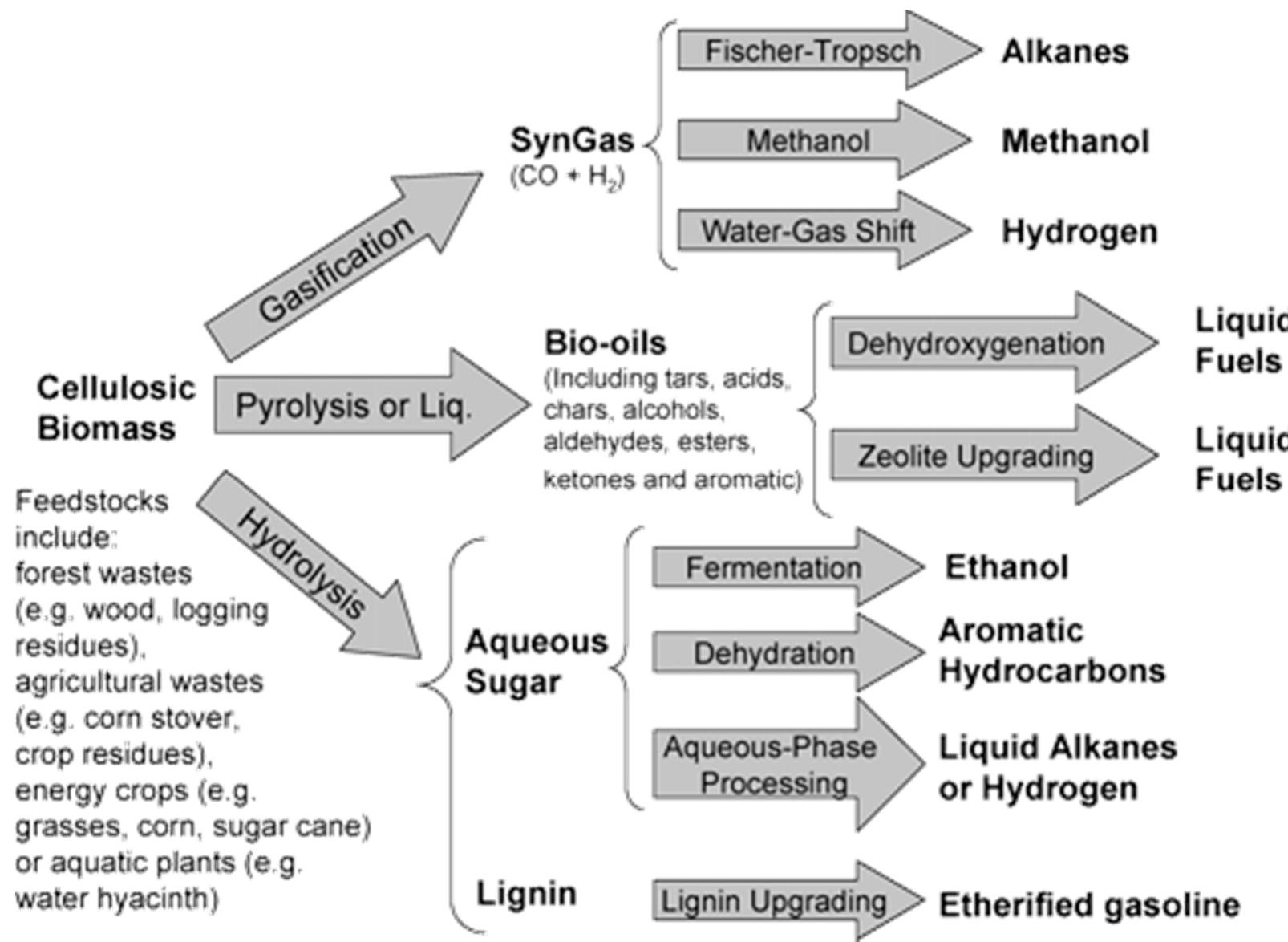 Different routes for fuel production from biomass. reprinted
