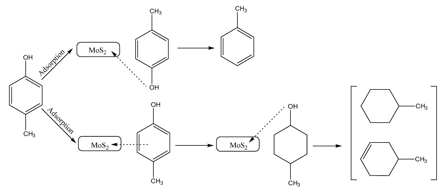 The reaction mechanism for the hdo of 4-methyl phenol over