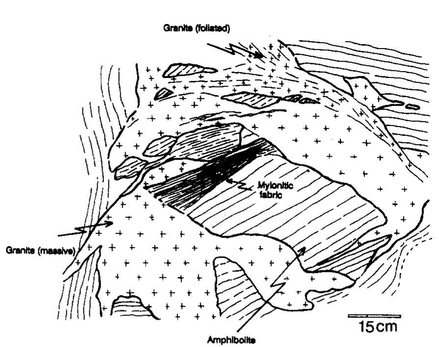Figure 4 - from Tectonometamorphic evolution of the Moyale