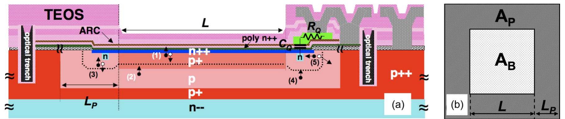 (a) schematic cross section of the sipm pixel described in