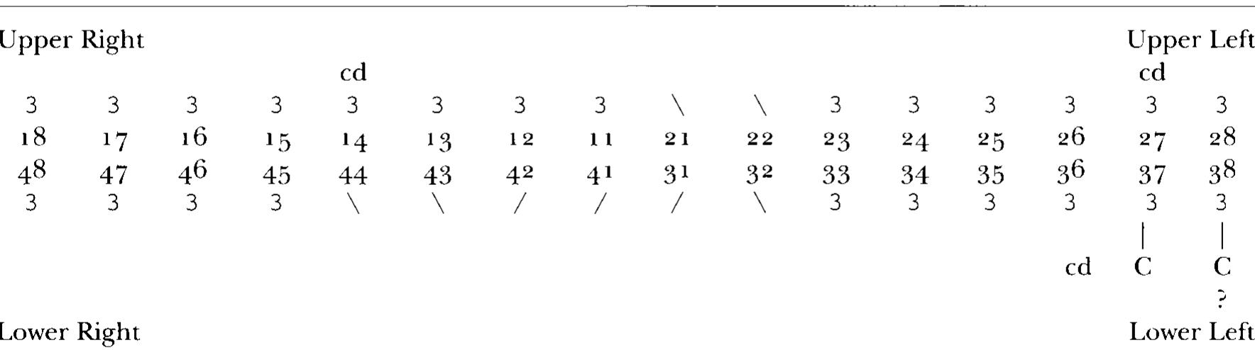 Dental chart of individual 1. the teeth are numbered