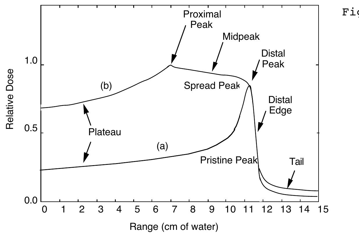 Examples of sobp ionization curves, adjusted with rbe, of