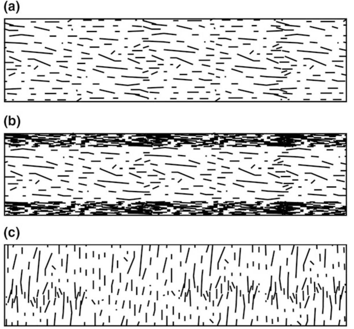 Diagrammatic presentation of the cross section of