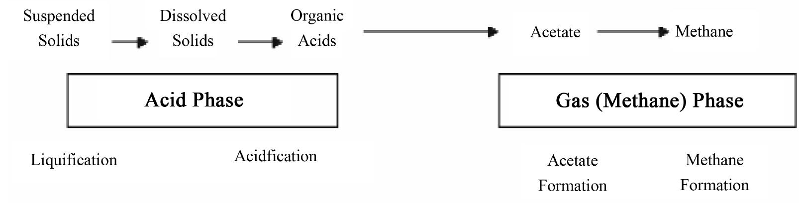 Phase separation of the anaerobic digestion system. adapted