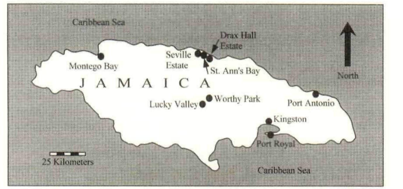 Map of jamaica showing major towns and plantations discussed