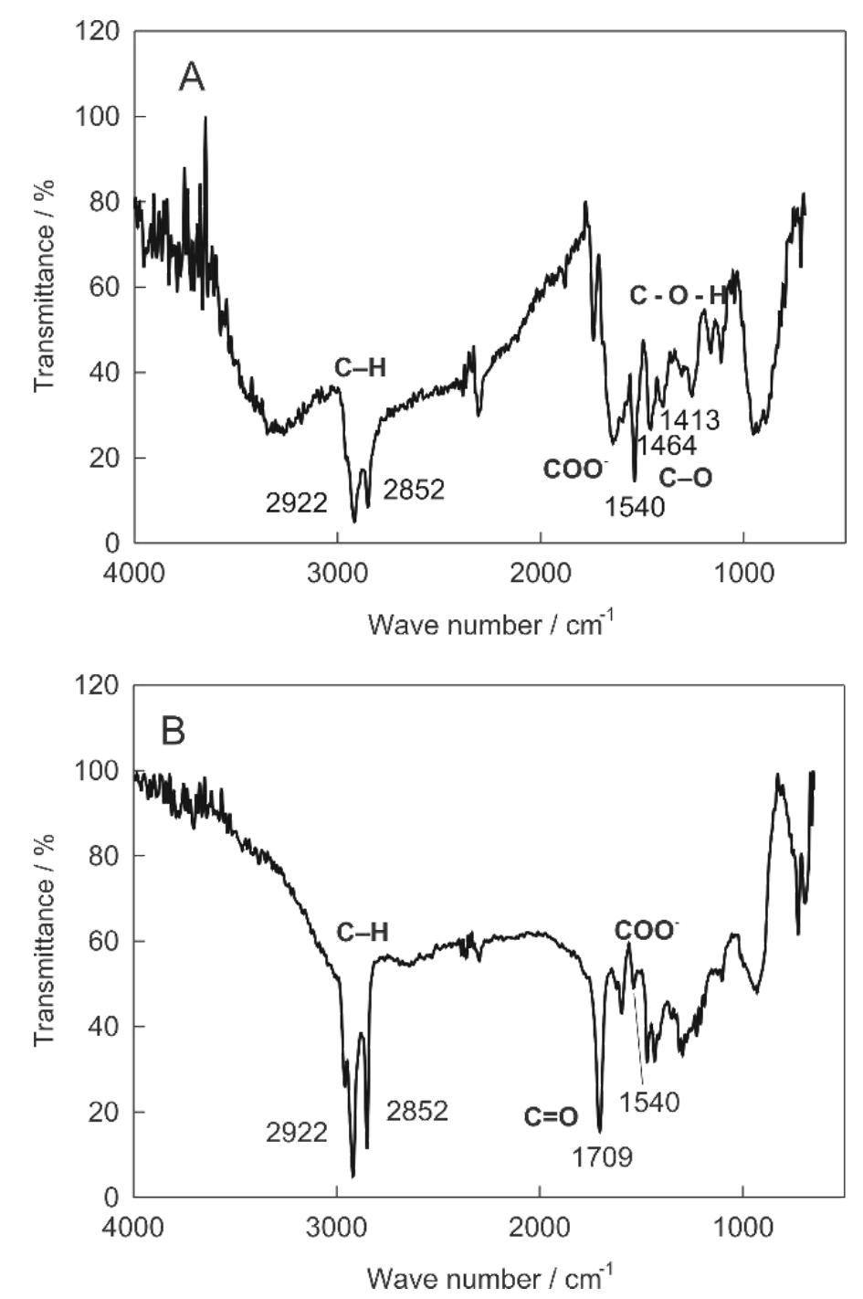 Ftir spectra of tin coated with sa film formed by (a)