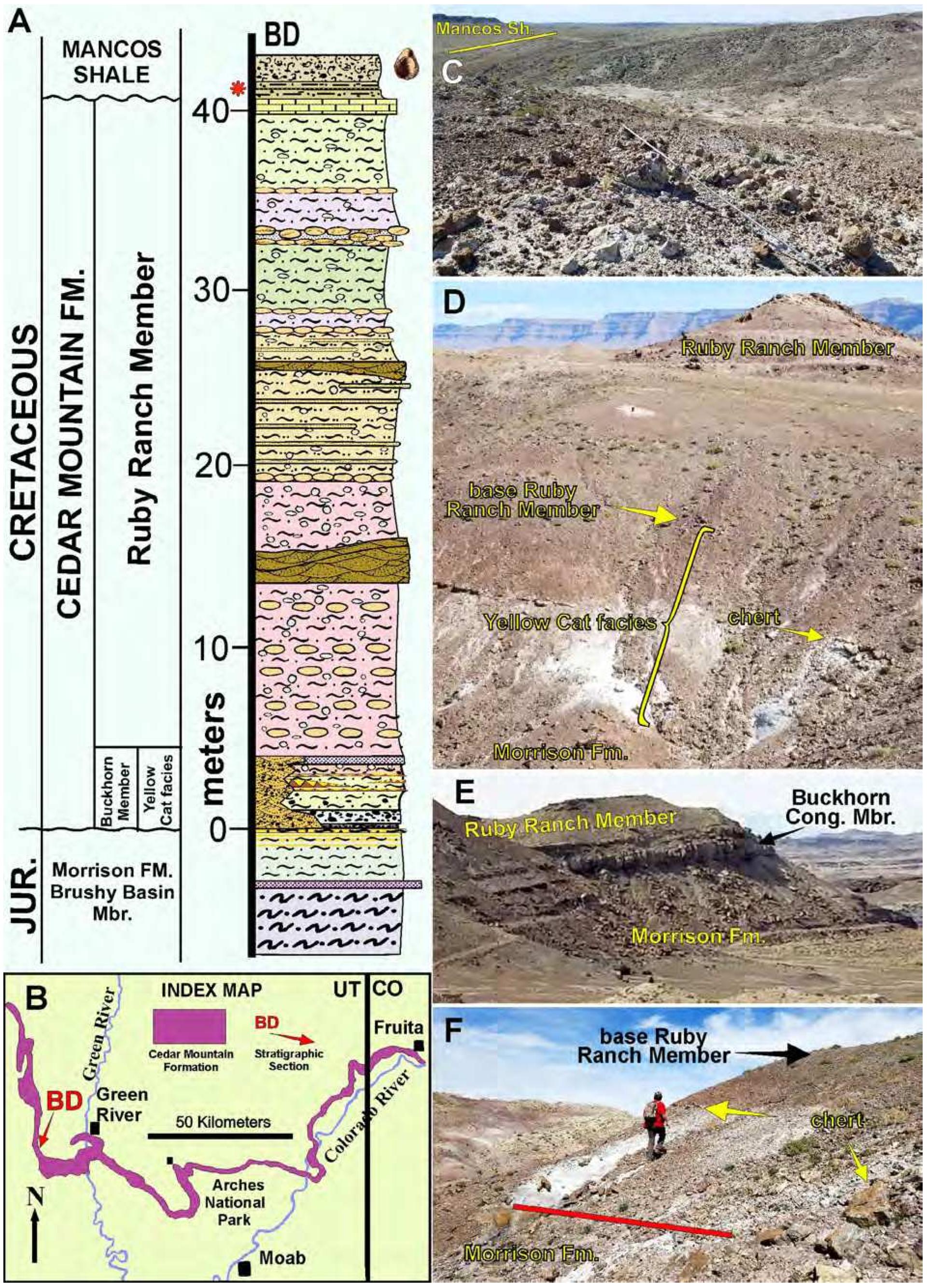 Caption on following page. the lower cretaceous in