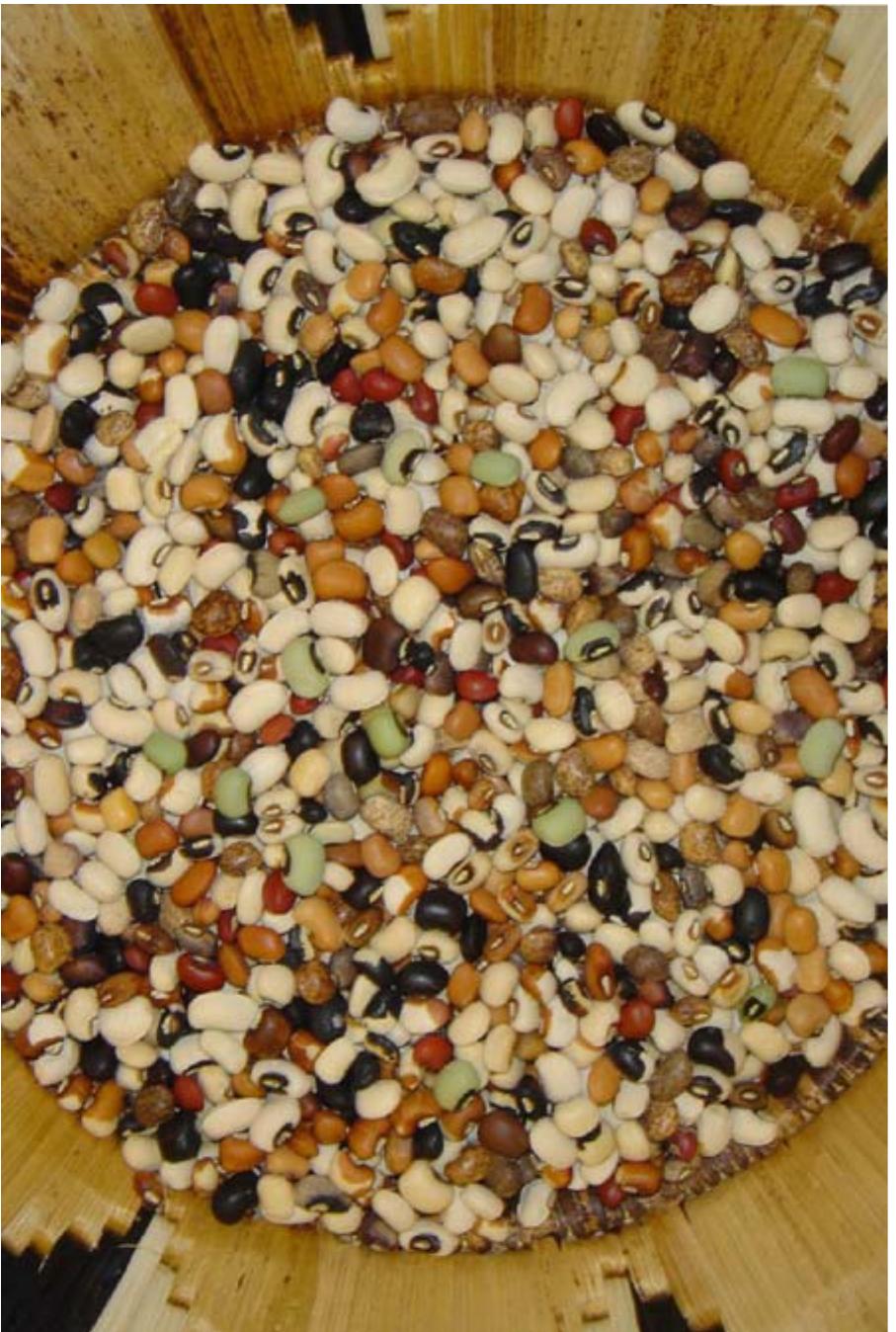 Figure 1 - from Cowpea